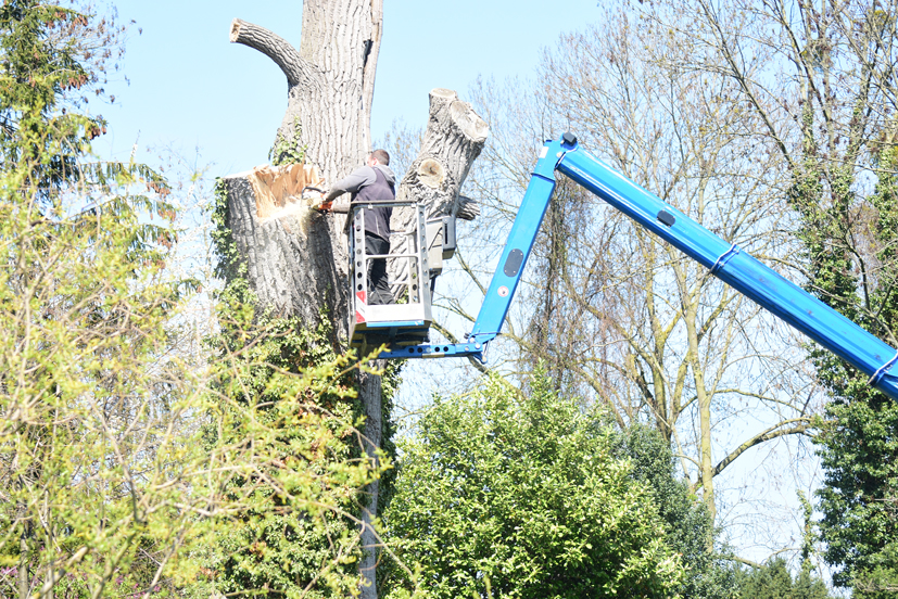 Rheinberg-Orsoy – Ein neues Zuhause für Meister Adebar am Orsoyer Deich ...